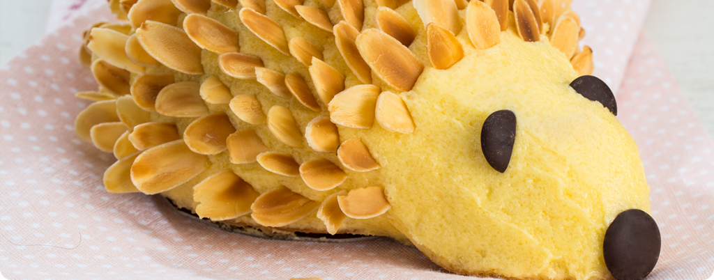 Gâteau d’anniversaire Hérisson | Les œufs Matines